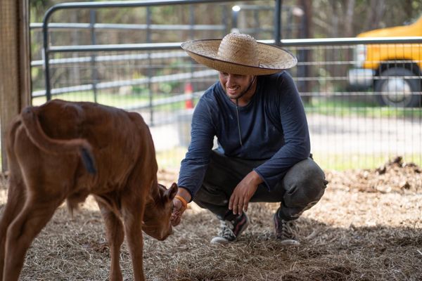 GOOD MOOD RANCH - Updated January 2025 - 34 Photos & 12 Reviews - 306 ...