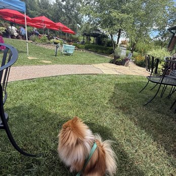 SOMERSET RIDGE VINEYARD & WINERY - Updated December 2025 - 129 Photos ...