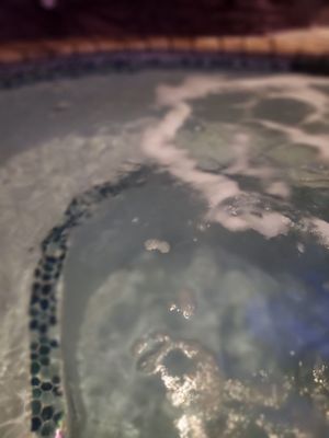 THE SPA AT BRIARCLIFF - 35 Photos & 70 Reviews - 4133 N Mulberry Dr ...