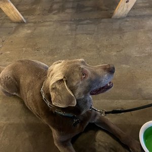 SOUTHERN ROOTS BREWING COMPANY - 128 Photos & 93 Reviews - 217-219 N ...