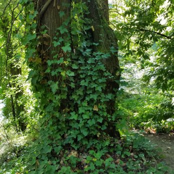 LAKE FENWICK PARK - Updated August 2025 - 127 Photos & 30 Reviews ...