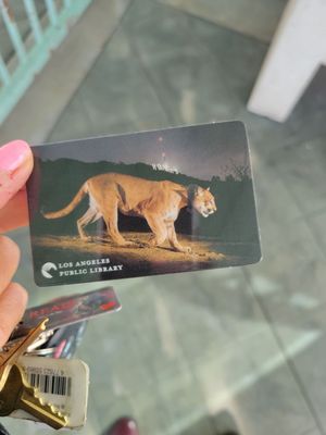 STUDIO CITY BRANCH LIBRARY - Updated December 2025 - 27 Photos & 77 ...