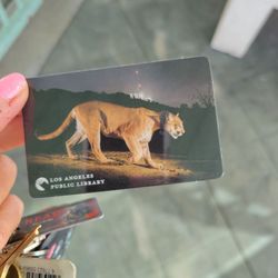 STUDIO CITY BRANCH LIBRARY - 19 Photos & 67 Reviews - 12511 Moorpark St ...