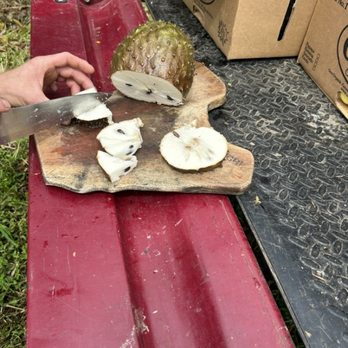 ONO ORGANIC FARMS - Updated January 2026 - 101 Photos & 52 Reviews ...