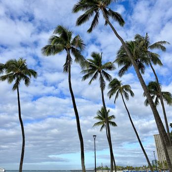 FORT DERUSSY BEACH PARK - Updated October 2024 - 292 Photos & 86 ...