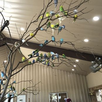 NATURAL BRIDGE WILDLIFE RANCH - Updated April 2025 - 1802 Photos & 578 ...