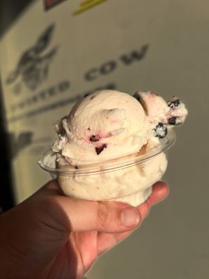 THE TWISTED COW - Updated October 2025 - 83 Photos & 29 Reviews - 250 N ...