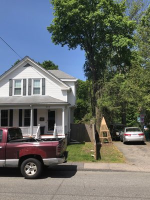 NORTH EASTERN TREE SERVICE - Updated December 2025 - 29 Photos & 104 ...