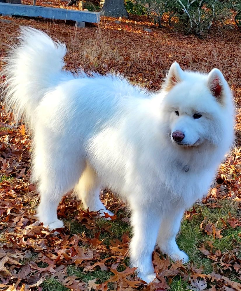 BECKY’S FUZZY BUN’S - Updated January 2026 - 8 Nooseneck Hill Rd, West ...