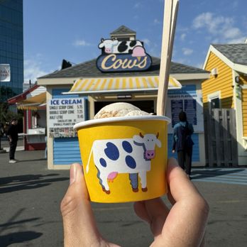 COWS - Updated December 2025 - 92 Photos & 82 Reviews - 1891 Upper ...