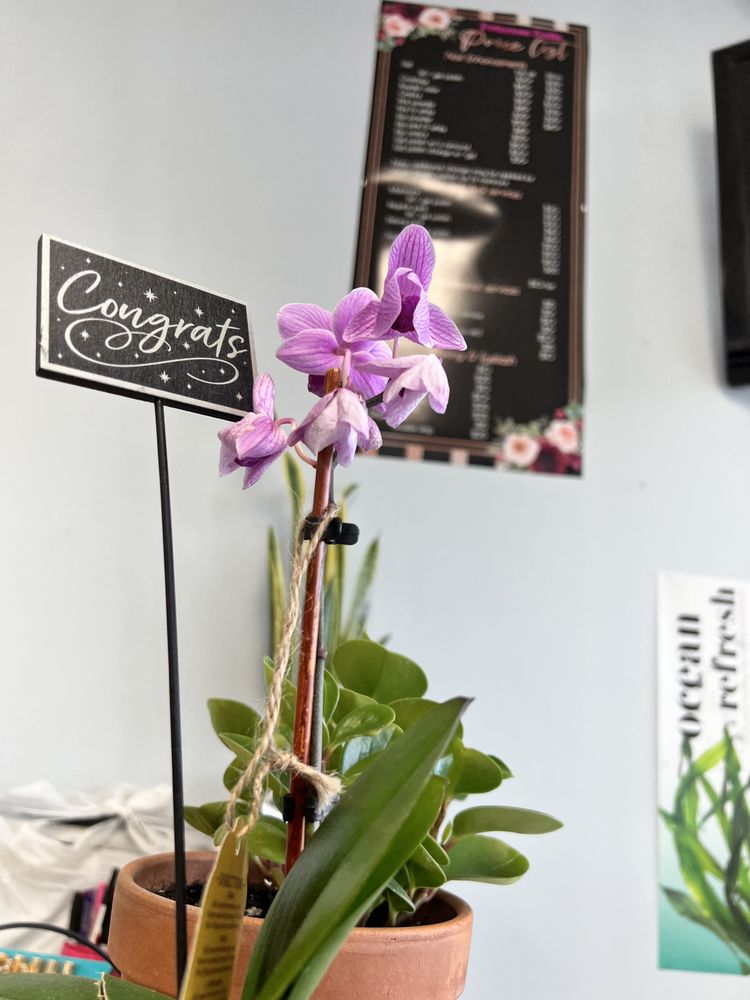 PRINCESS NAILS - Updated July 2025 - 31 Photos & 13 Reviews - 16563 E ...