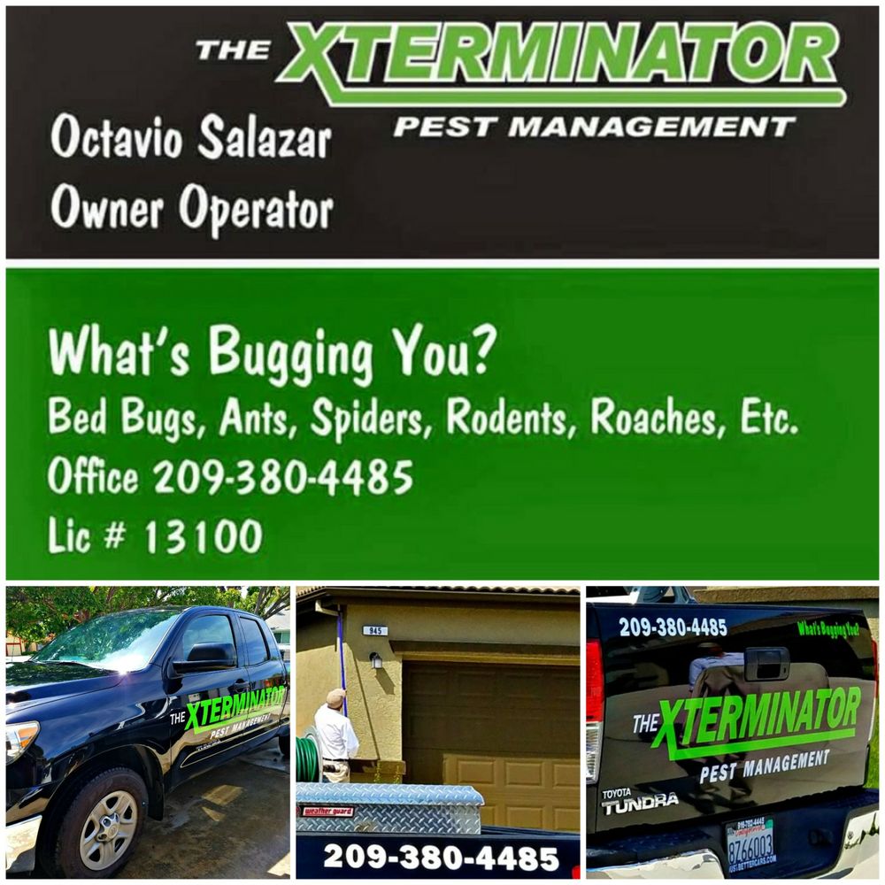 THE XTERMINATOR PEST MANAGEMENT - Updated December 2025 - 1280 Forest ...