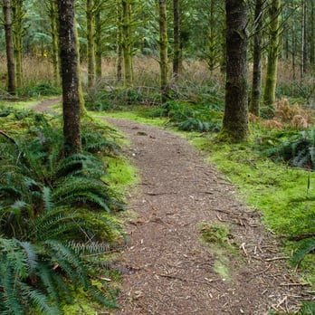 MALCOLM KNAPP RESEARCH FOREST - Updated December 2025 - 67 Photos ...