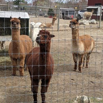 UNITY FARM SANCTUARY - Updated December 2025 - 17 Unity Ln, Sherborn ...