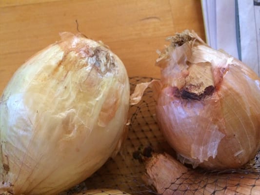 FRESH ALOHA DIRECT - Updated October 2025 - 91-1440 Farrington Hwy ...