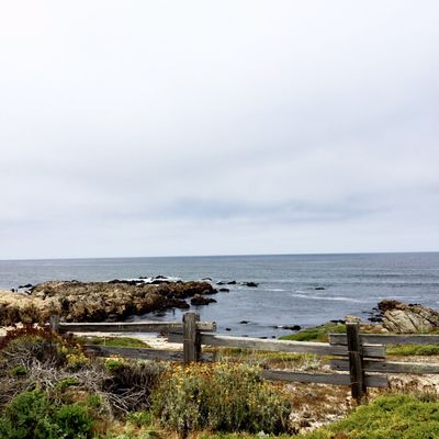 ASILOMAR STATE BEACH - 989 Photos & 218 Reviews - Parks - 1950 Sunset ...