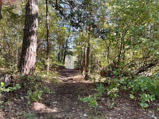 BELLEPLAIN STATE FOREST - Updated January 2026 - Henkin-sifkin Rd ...