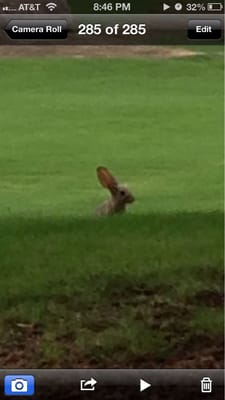 MIDWESTERN UNIVERSITY - Updated December 2025 - 35 Photos & 16 Reviews ...