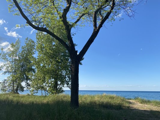 GILLSON PARK - 180 Photos & 65 Reviews - 800 Gillson Park Dr, Wilmette ...