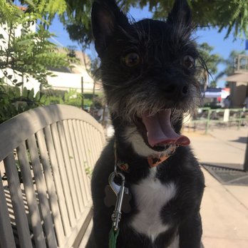 FULLERTON MARKET - Updated September 2025 - 145 Photos & 78 Reviews ...