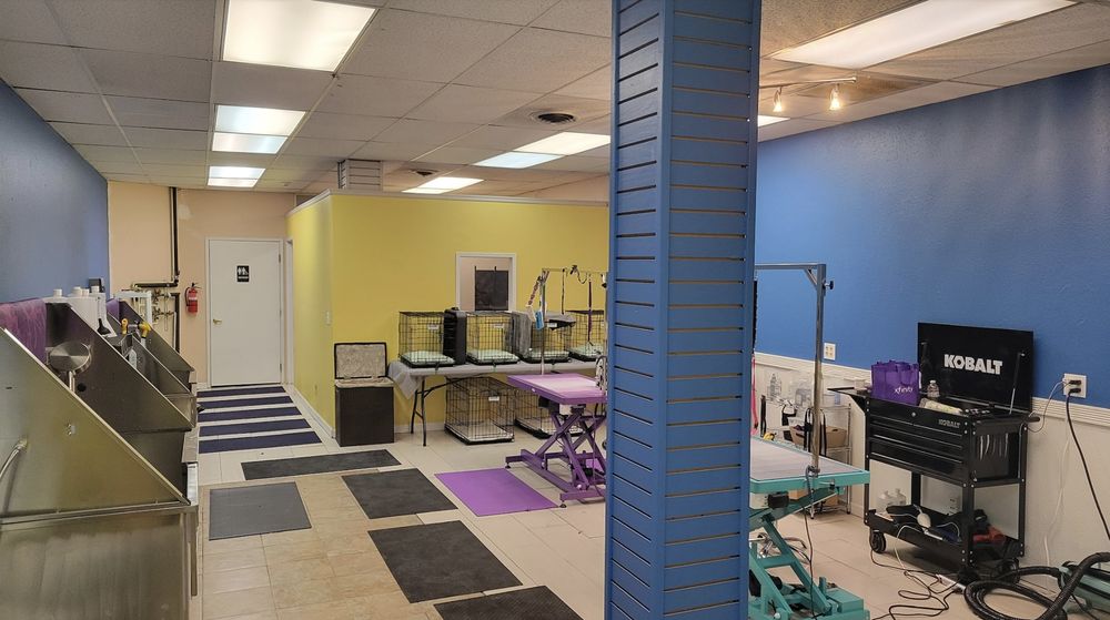 GOOD DOG GROOMING - Updated December 2025 - 30 Photos - 353 Butler St ...