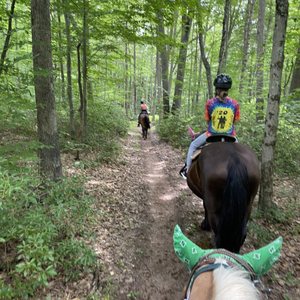 MOUNTAIN CREEK RIDING STABLES - Updated July 2025 - 66 Photos & 80 ...