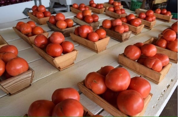 FRESH WAY PRODUCE - Updated December 2025 - 14 Reviews - 6900 Old ...