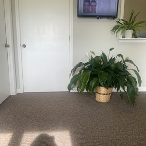 CAROLINA EYE ASSOCIATES - Updated February 2025 - 725 Highland Oaks Dr ...