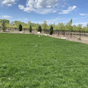 ALLURING LAWN SERVICE - Updated May 2024 - 2221 Lambert Dr, Nampa ...