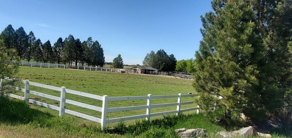 BACK FORTY FARMS - Updated October 2025 - 16 Photos - 8899 S Black Cat ...