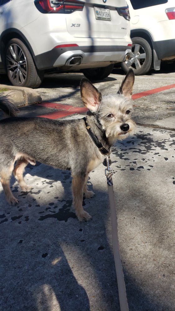 FLOPPY PETS - Updated October 2025 - 15 Photos & 26 Reviews - 2622 Nasa ...