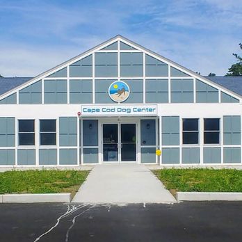 CAPE COD DOG CENTER - Updated January 2026 - 13 Photos - 31 Evergreen ...