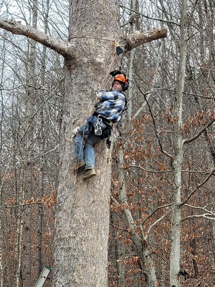 GARY THE TREE DOCTOR - Updated July 2024 - Liberty, Kentucky - Tree ...