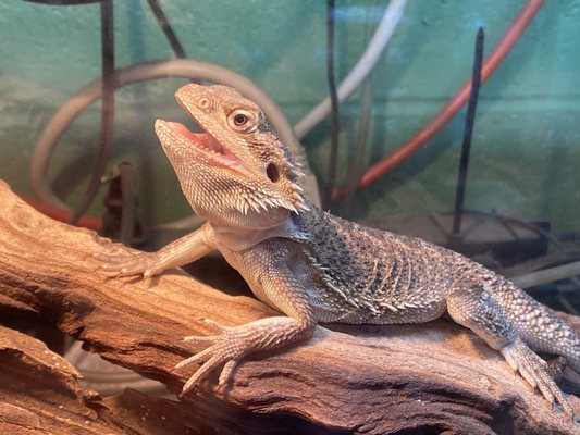 THAT FISH PLACE - THAT PET PLACE - 121 Photos & 107 Reviews - Local ...