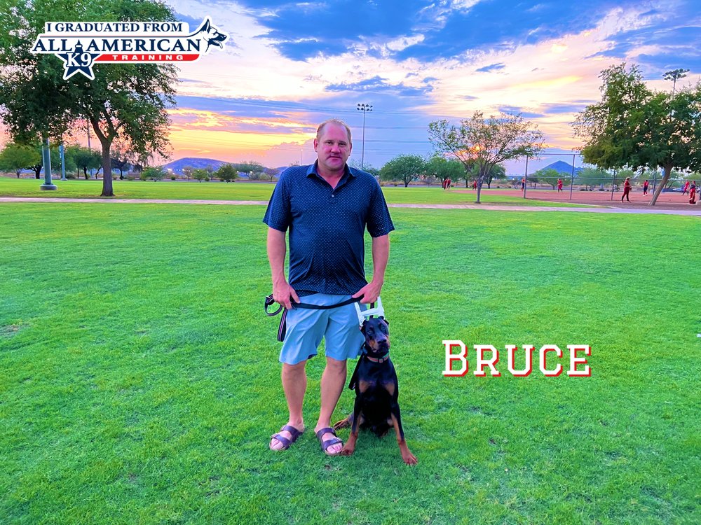 ALL-AMERICAN K-9 DOG TRAINING - 452 Photos & 264 Reviews - Phoenix ...