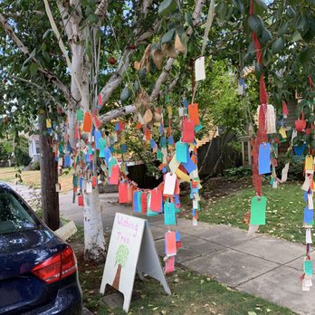 THE WISHING TREE - Updated December 2025 - 54 Photos & 12 Reviews ...