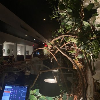 HALCYON - Updated February 2025 - 474 Photos & 310 Reviews - 114 Walnut ...