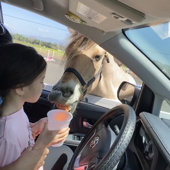 BLOSSOM HILL RANCH - Updated December 2025 - 56 Photos & 38 Reviews ...