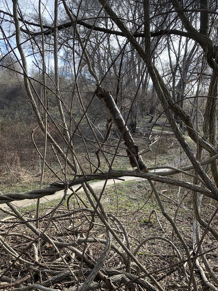 DAVID OVERTON TRAIL - Updated July 2025 - David Overton Rd, Coram, New ...