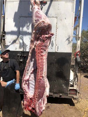 ARIZONA MOBILE MEAT PROCESSING - Updated April 2025 - 355 Ellen Way ...
