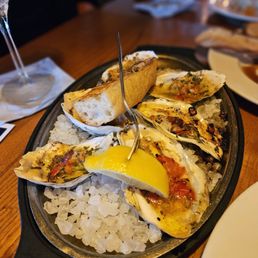 SEA WATCH ON THE OCEAN - Updated January 2025 - 1295 Photos & 907 ...