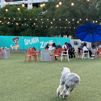 FETCH PARK - Updated April 2025 - 78 Photos & 17 Reviews - 309 Buckhead ...