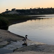 BACK BAY LOOP TRAIL - 424 Photos & 150 Reviews - Parks - 600 Shellmaker ...