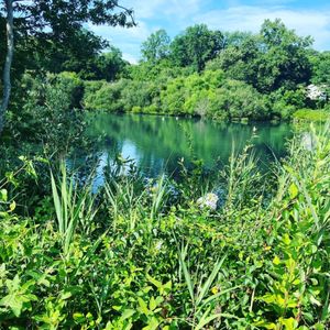 COMMACK MOTOR INN - Updated August 2025 - 18 Reviews - 2231 Jericho ...