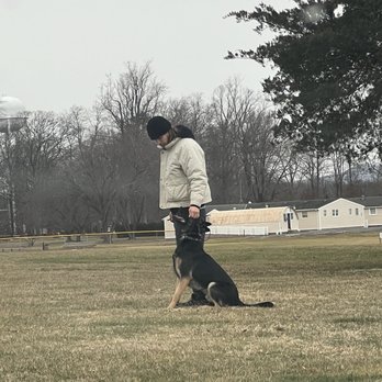 CONTROLLED K9 - Updated December 2024 - 31 Photos & 26 Reviews - Broad ...