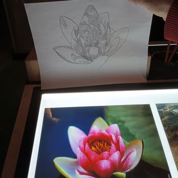 KIEWIT LUMINARIUM - Updated December 2025 - 196 Photos & 43 Reviews ...