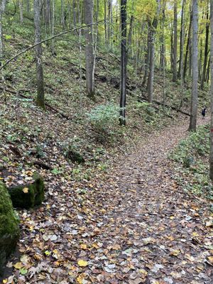 LAUREL RUN PARK - Updated December 2025 - 11 Photos & 14 Reviews - 364 ...