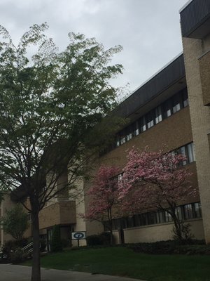 READING HOSPITAL - TOWER HEALTH - Updated January 2026 - 12 Photos & 94 ...