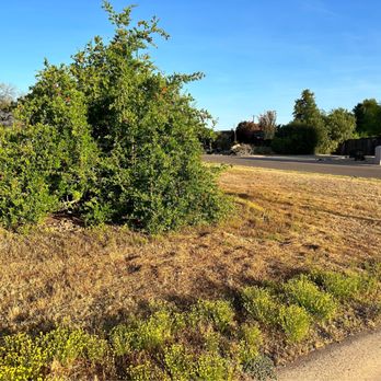 FELIX LANDSCAPE - Updated December 2025 - 131 Photos & 14 Reviews ...