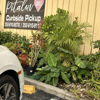 PITALUV - Updated December 2025 - 97 Photos & 138 Reviews - 5447 Spring ...